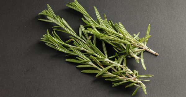 Biberiye Çayı - Yemek.com