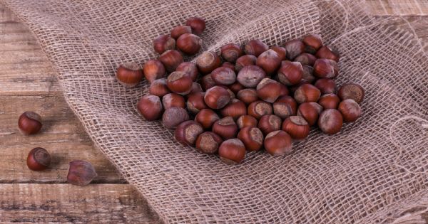 Fındık - Yemek.com