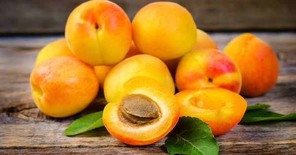 Kayısı - Yemek.com