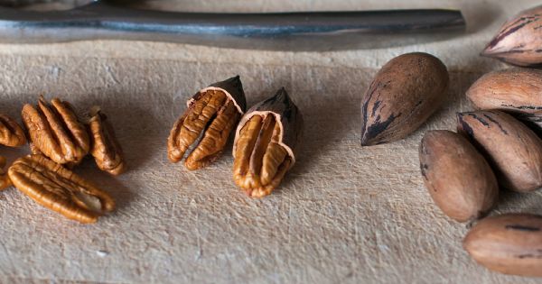 Pikan Cevizi - Yemek.com