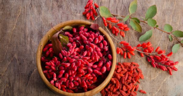 Goji Berry (Kurt Üzümü) Nedir, Faydaları ve Nasıl Kullanılır? - Yemek.com