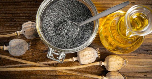 Haşhaş Nedir? Haşhaşın Faydaları Nelerdir? - Yemek.com