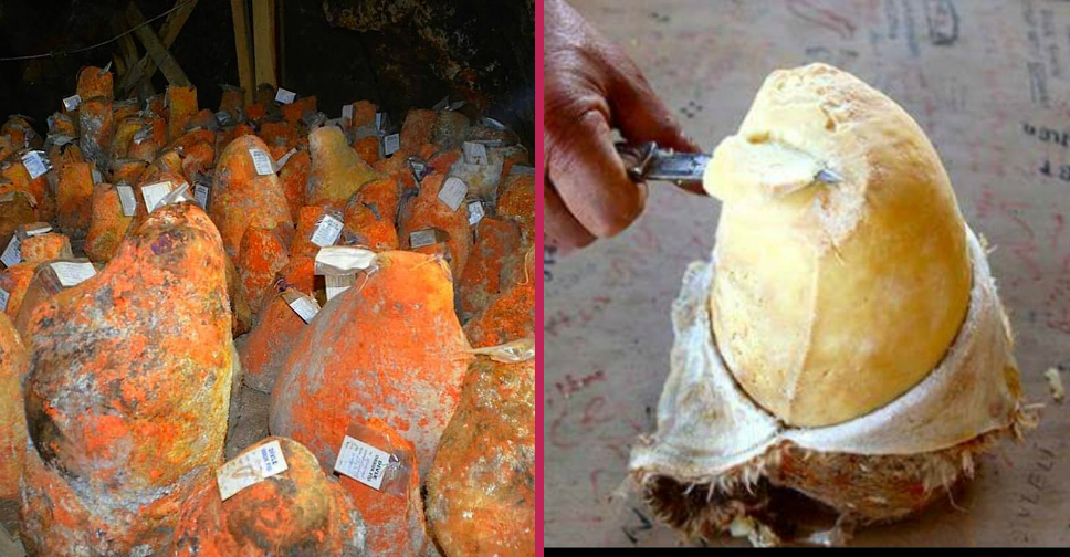 Divle Obruk Peyniri: Dünyanın En İyi Beş Peynirinden Biri - Yemek.com